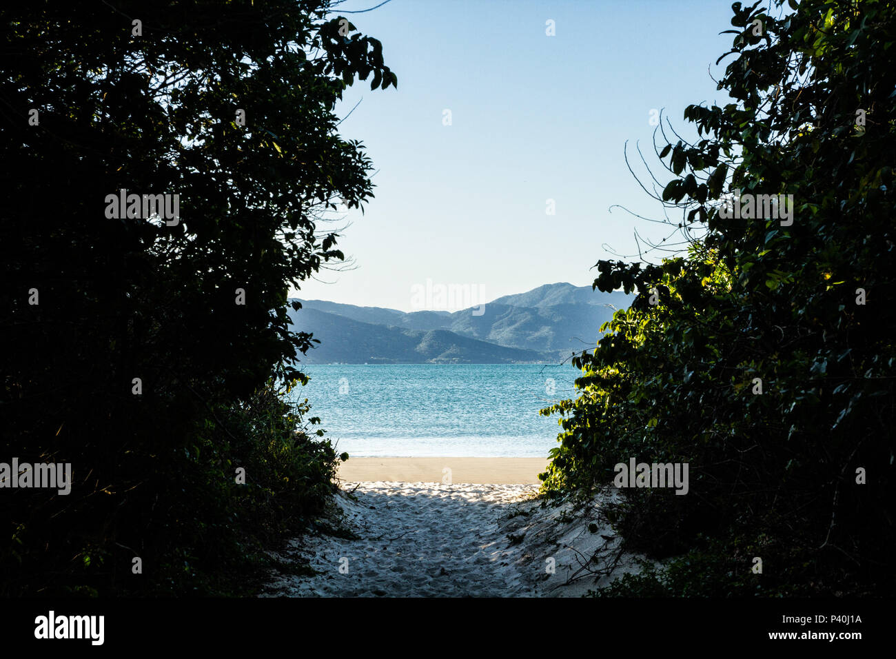 Praia da daniela hi-res stock photography and images - Alamy