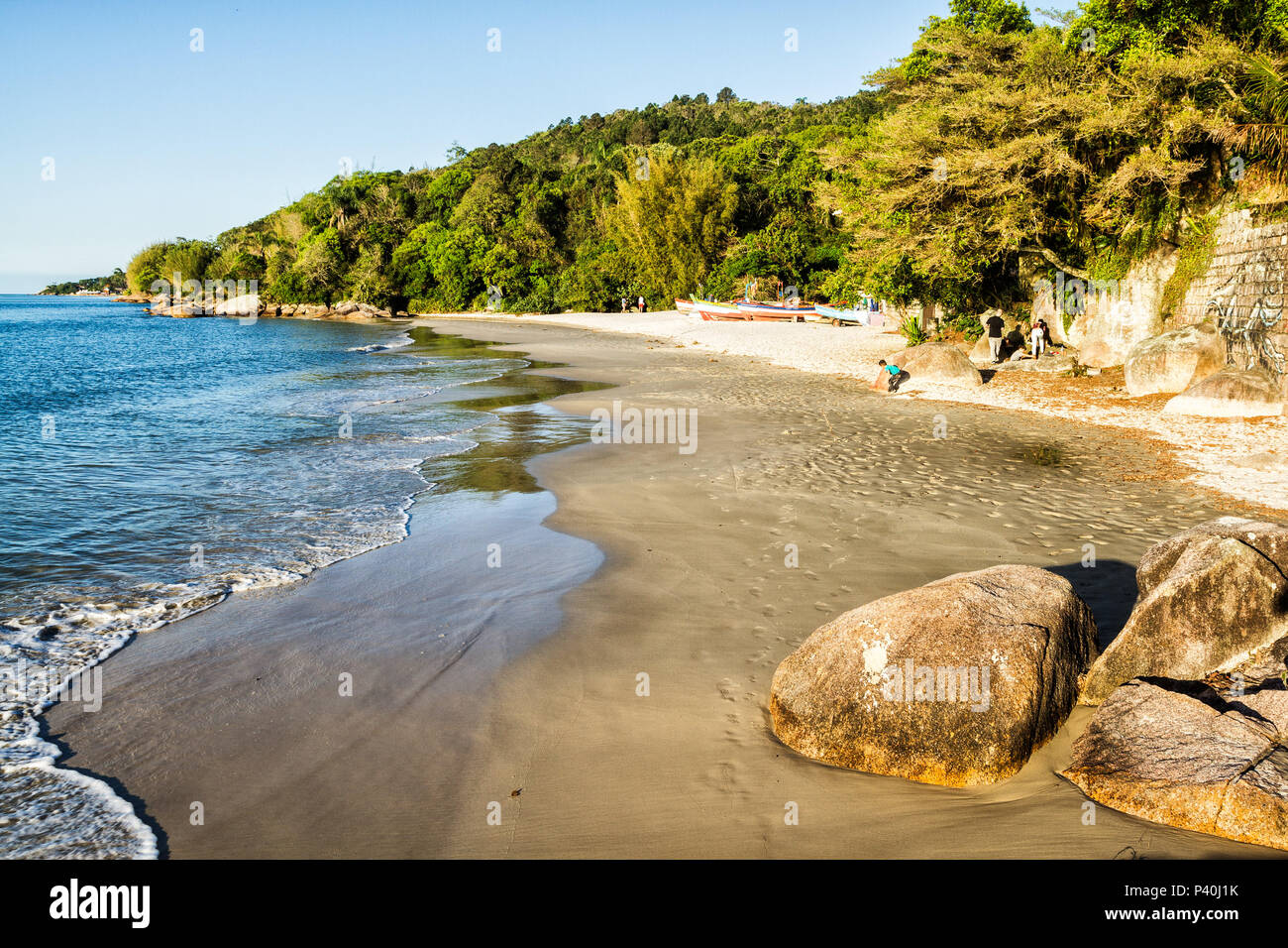 Praia da Daniela. Florianópolis, Santa Catarina, Brasil Stock Photo - Alamy