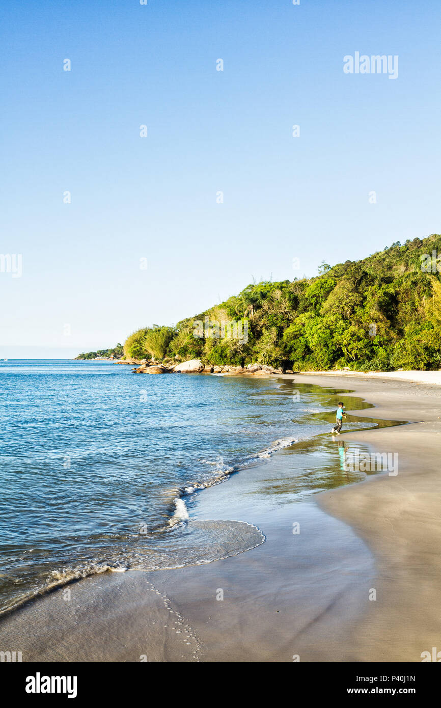 Praia da Daniela. Florianópolis, Santa Catarina, Brasil Stock Photo - Alamy