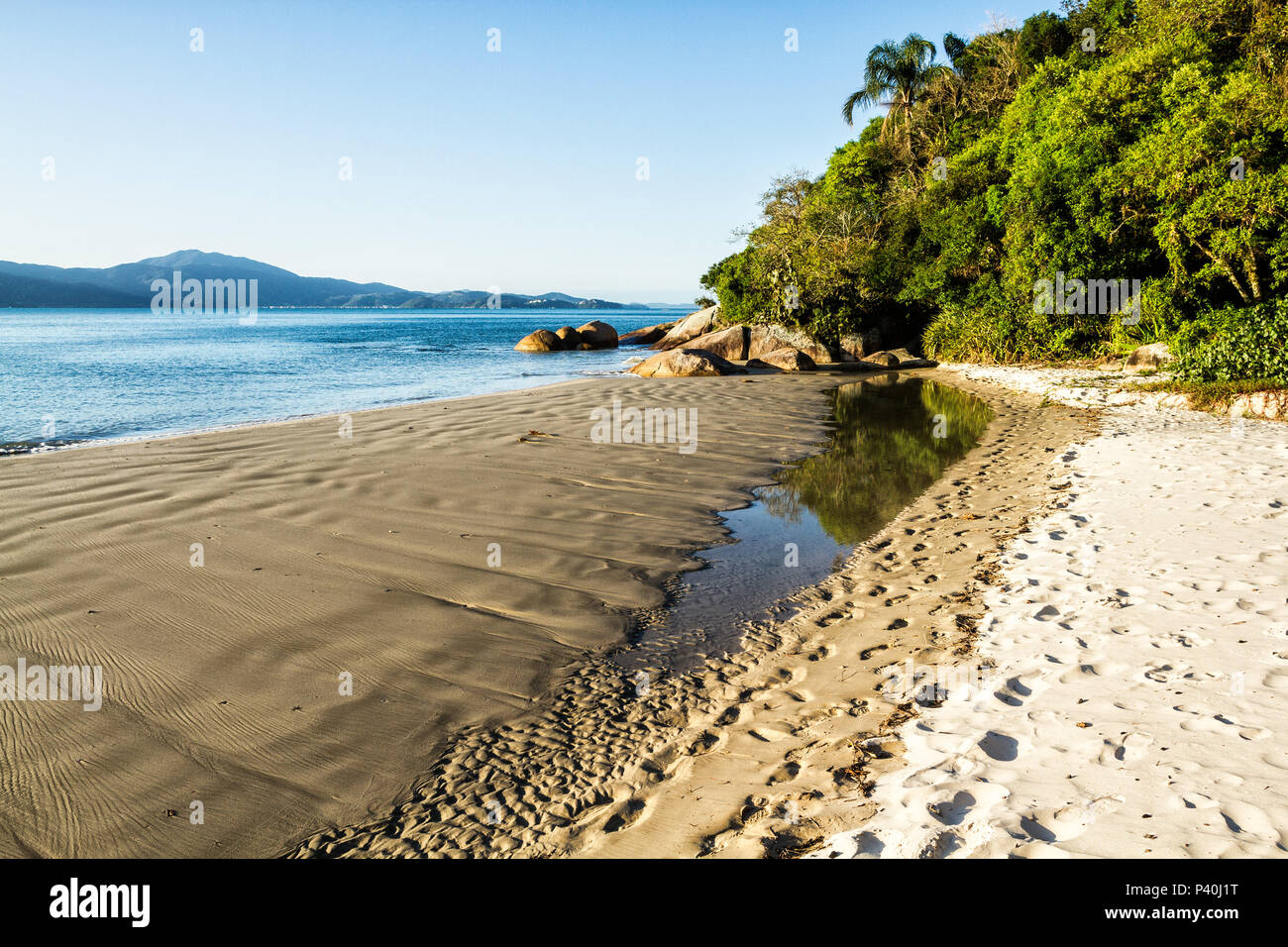Praia da Daniela. Florianópolis, Santa Catarina, Brasil Stock Photo - Alamy
