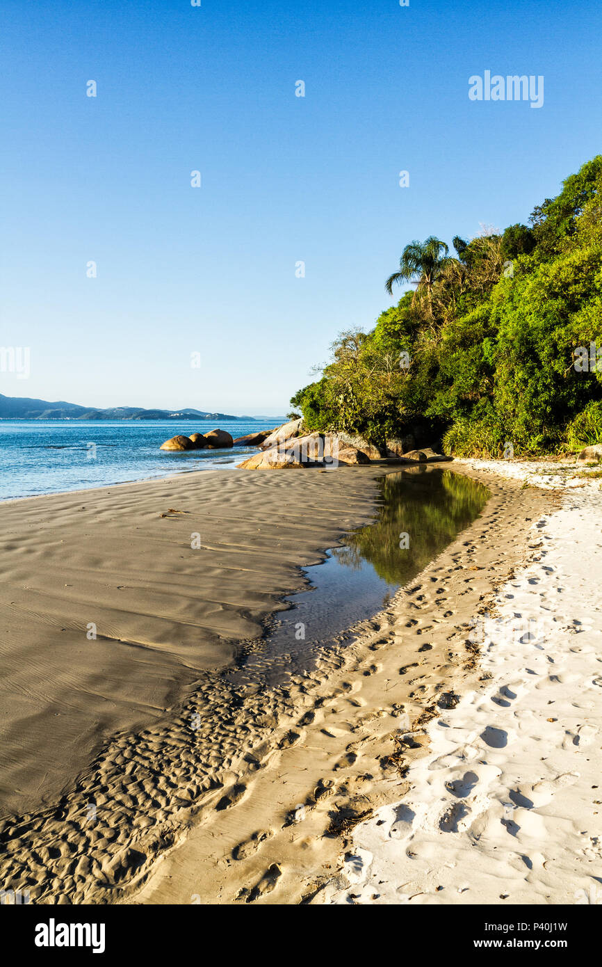 Praia da daniela hi-res stock photography and images - Alamy