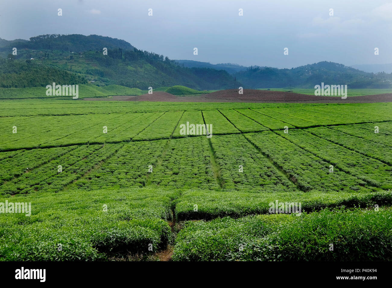 Rwanda, surrounding of Murambi, landscape Stock Photo - Alamy