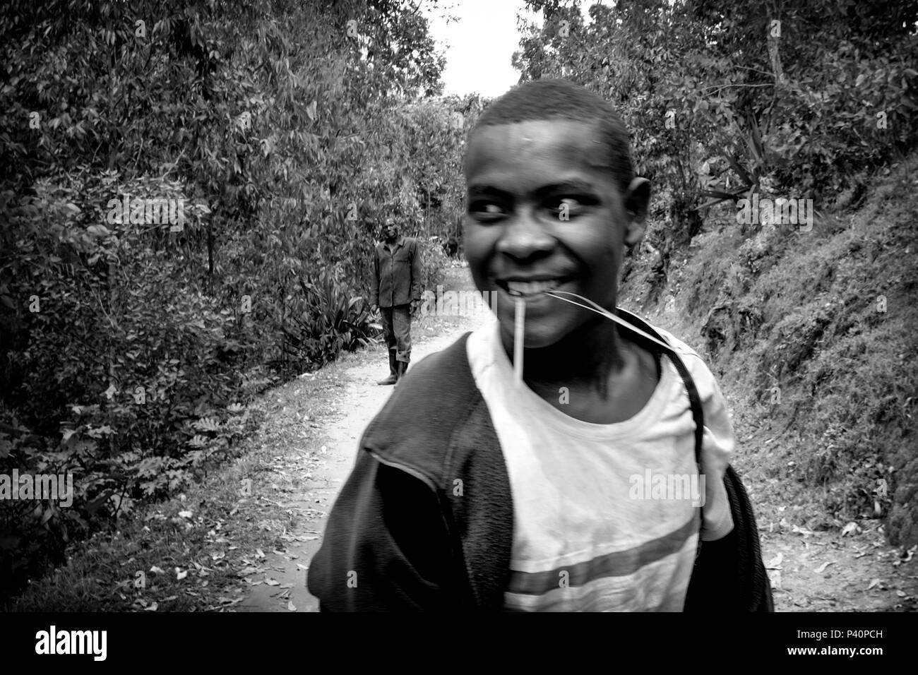 Rwanda, surrounding of Cyangugu, cows market Stock Photo - Alamy