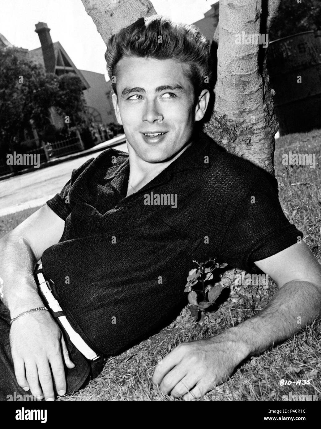 Original Film Title: REBEL WITHOUT A CAUSE. English Title: REBEL ...