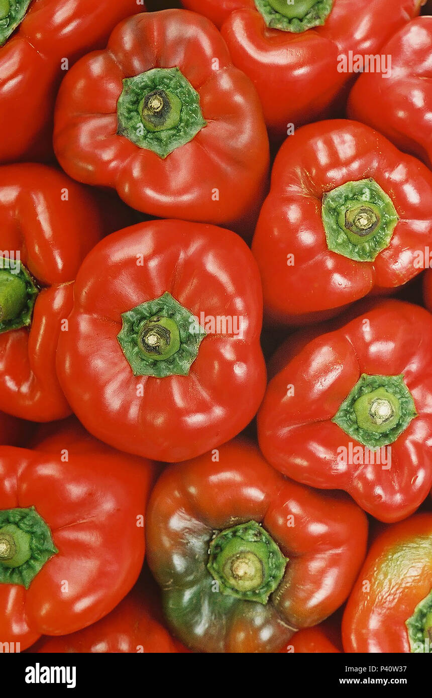 Pimentão Pimentão Vermelho Legumes Horti alimentação alimentação ...