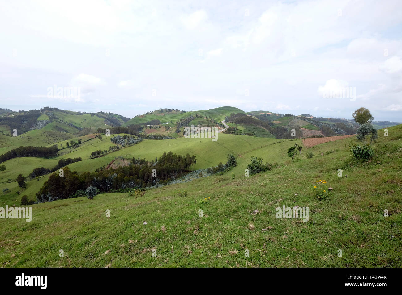Rwanda, surrounding of Kibuye, landscape Stock Photo - Alamy