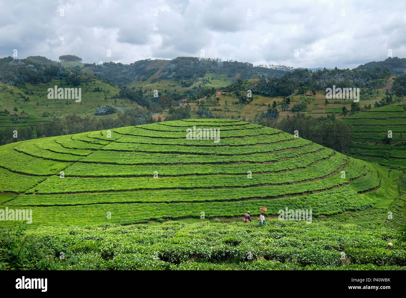 Rwanda, surrounding of Kibuye, landscape Stock Photo - Alamy