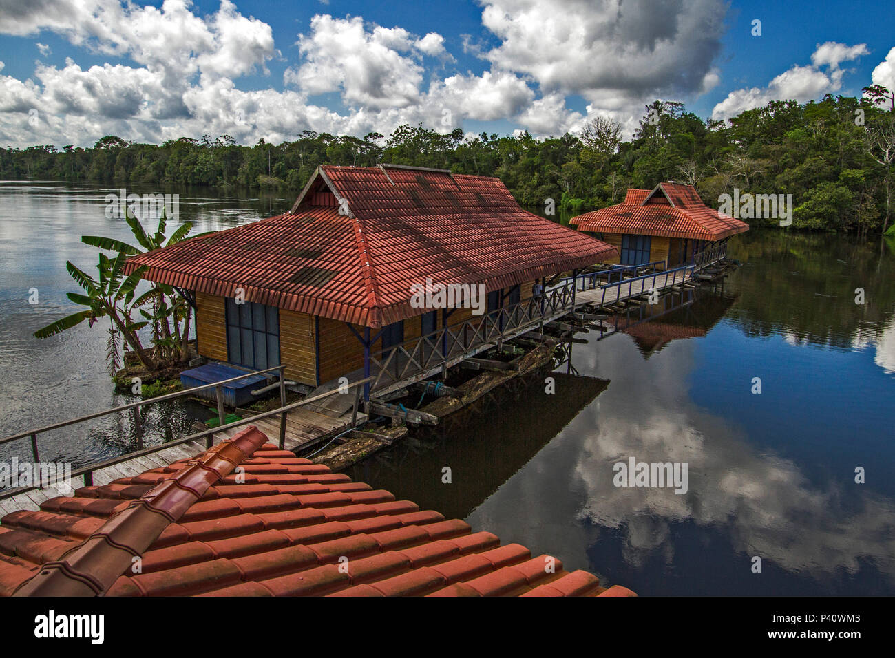 Amazonia uarini hi-res stock photography and images - Alamy