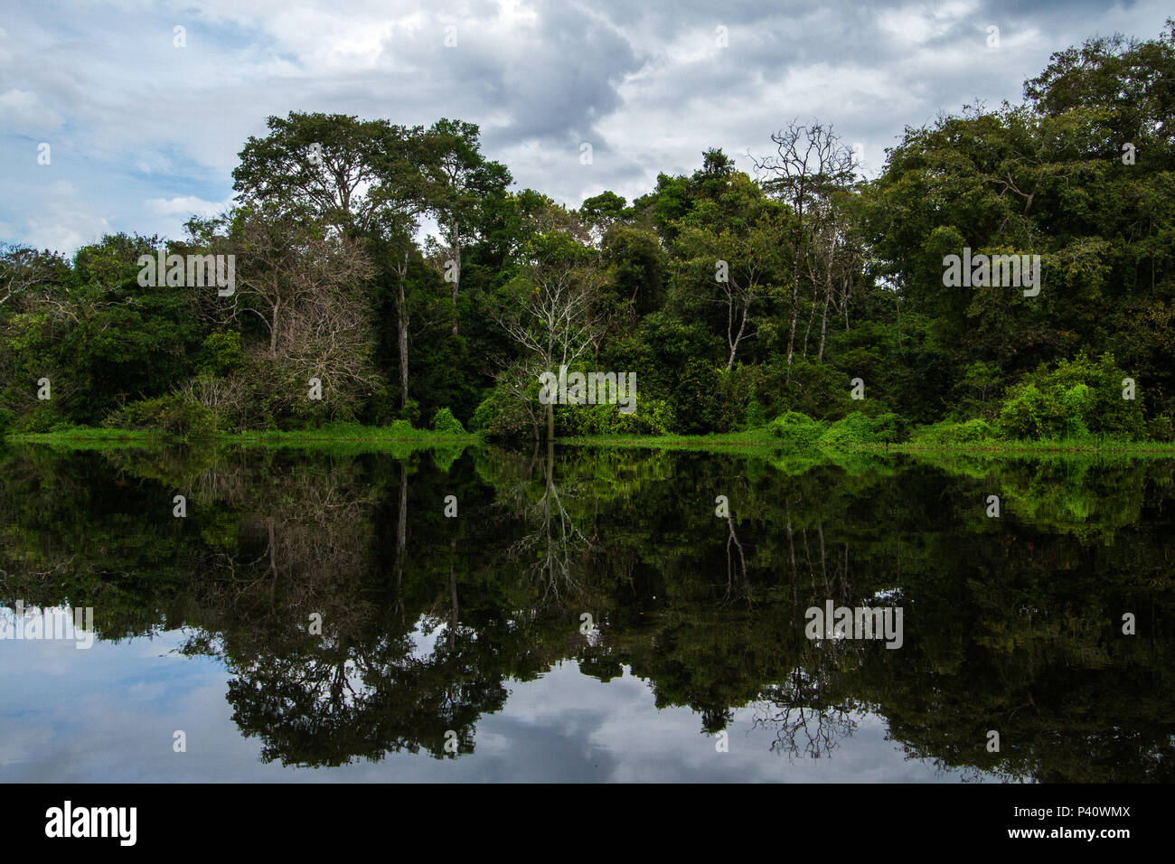 Rio japura hi-res stock photography and images - Alamy