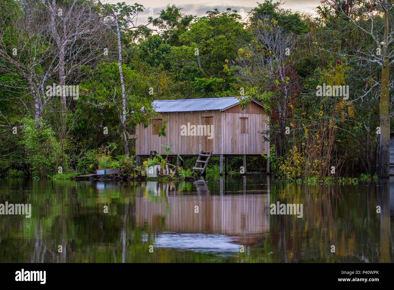 Uarini M Palafita casa moradia residência casa de madeira Amazônia ...