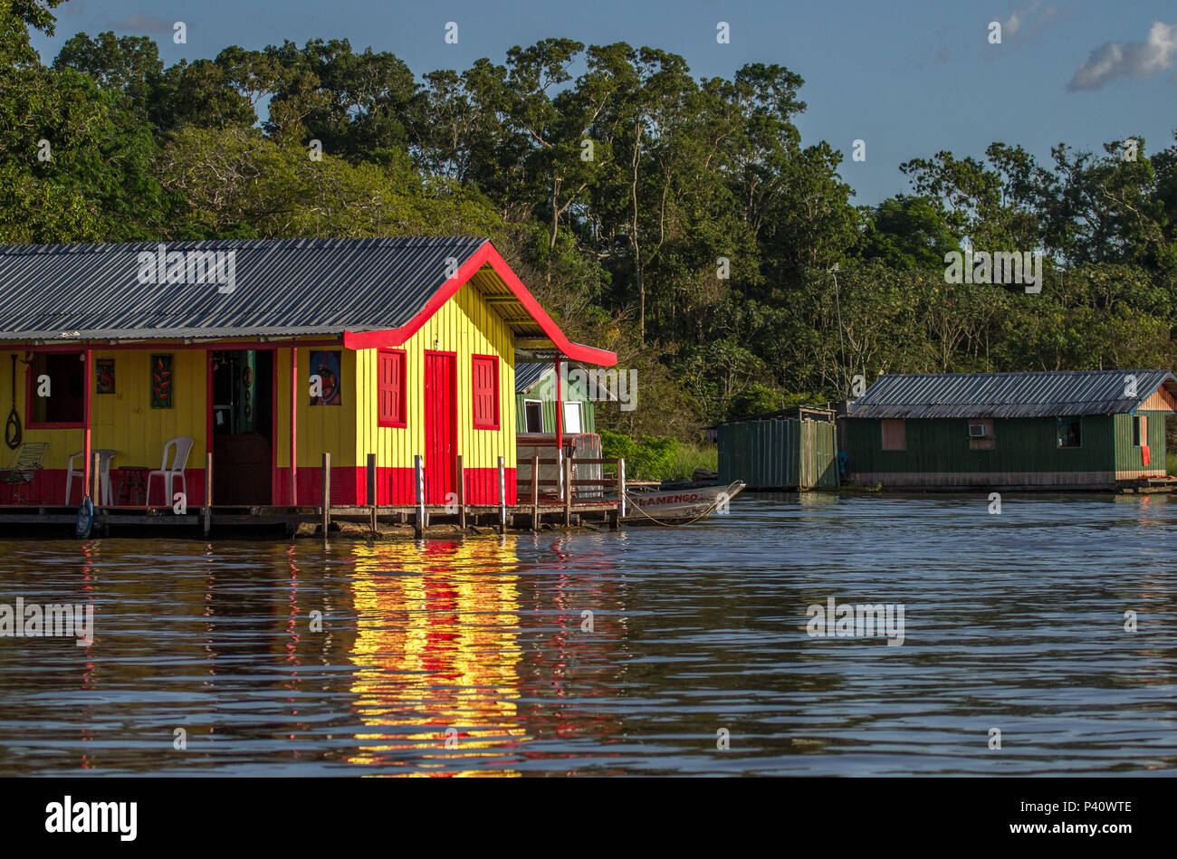 Amazonia uarini hi-res stock photography and images - Alamy
