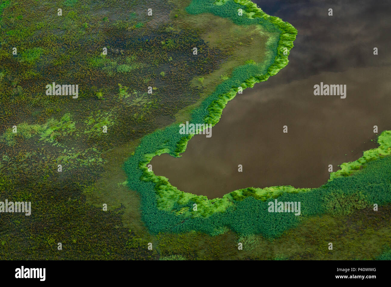 Manaus - AM Encontro das águas encontro do Rio Negro e Rio Solimões Rio ...