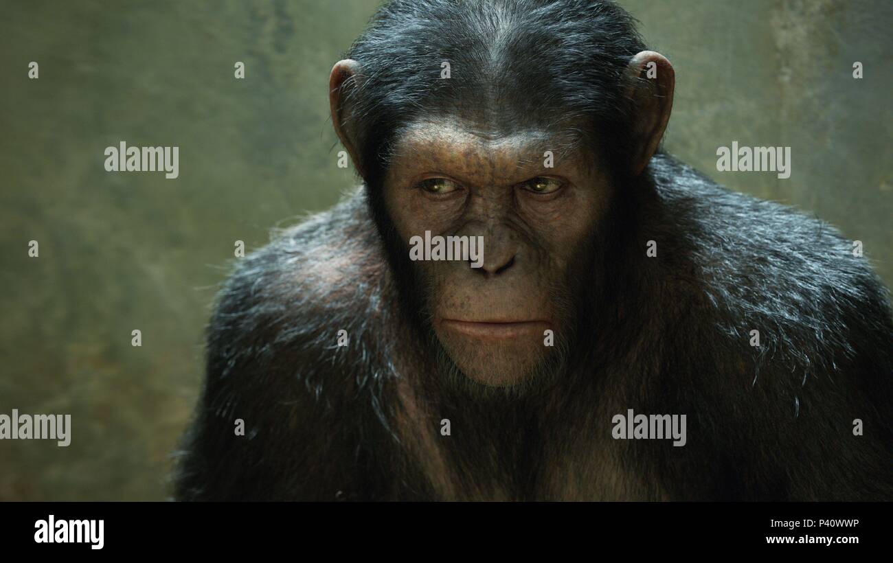 Buck Rise Of The Planet Of The Apes