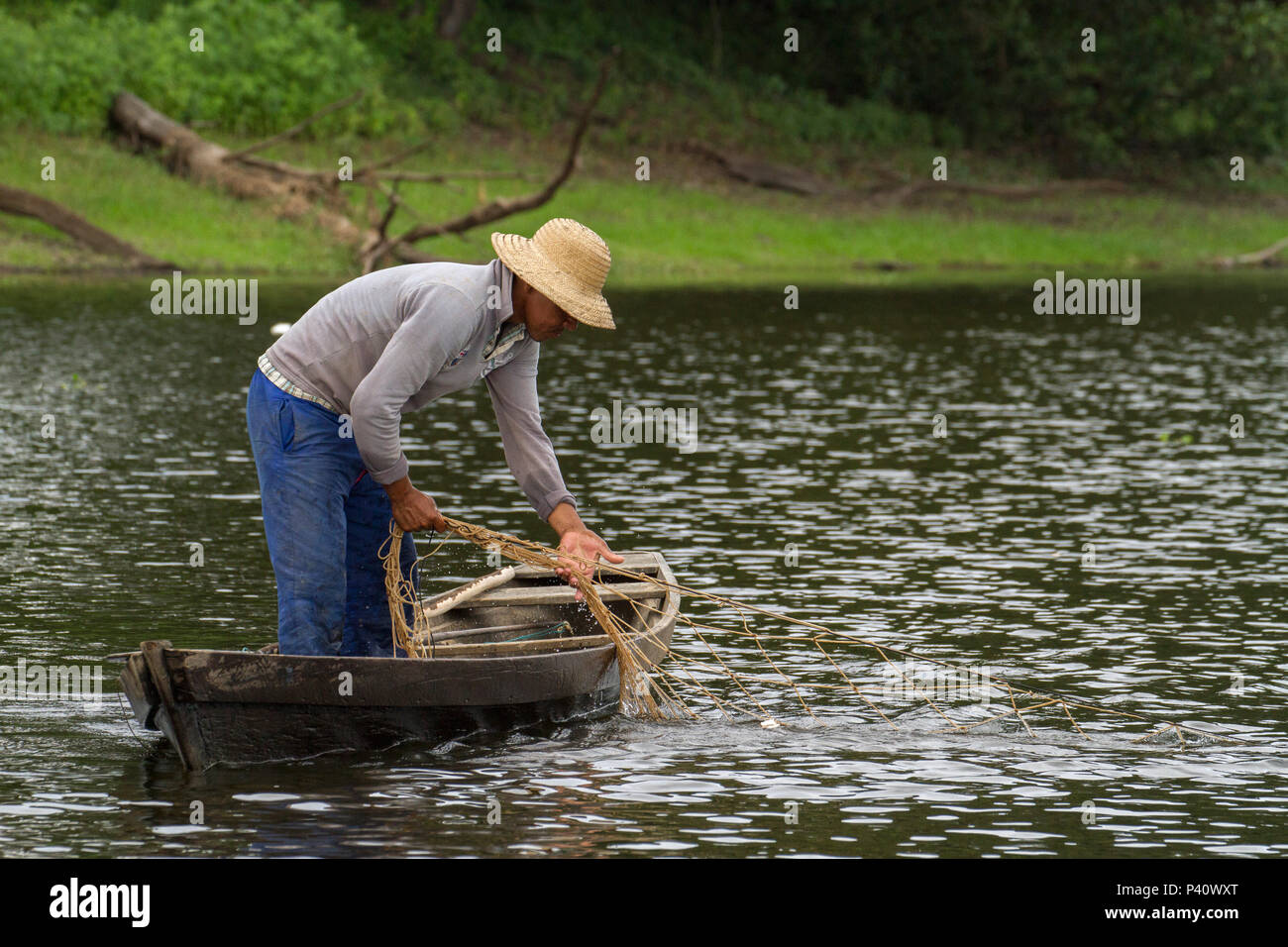 Amazonia uarini hi-res stock photography and images - Alamy
