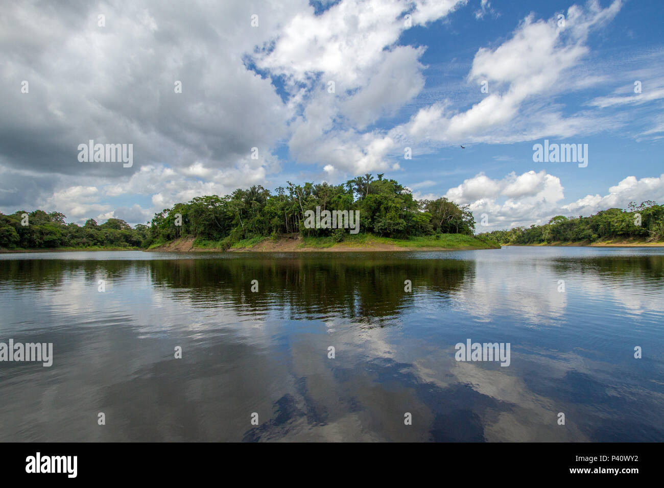 Seca na amazonia hi-res stock photography and images - Alamy