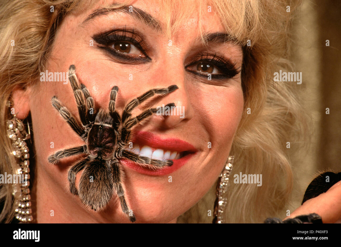 Tarantula (Theraphosidae) on circus performer's face, Germany Stock ...