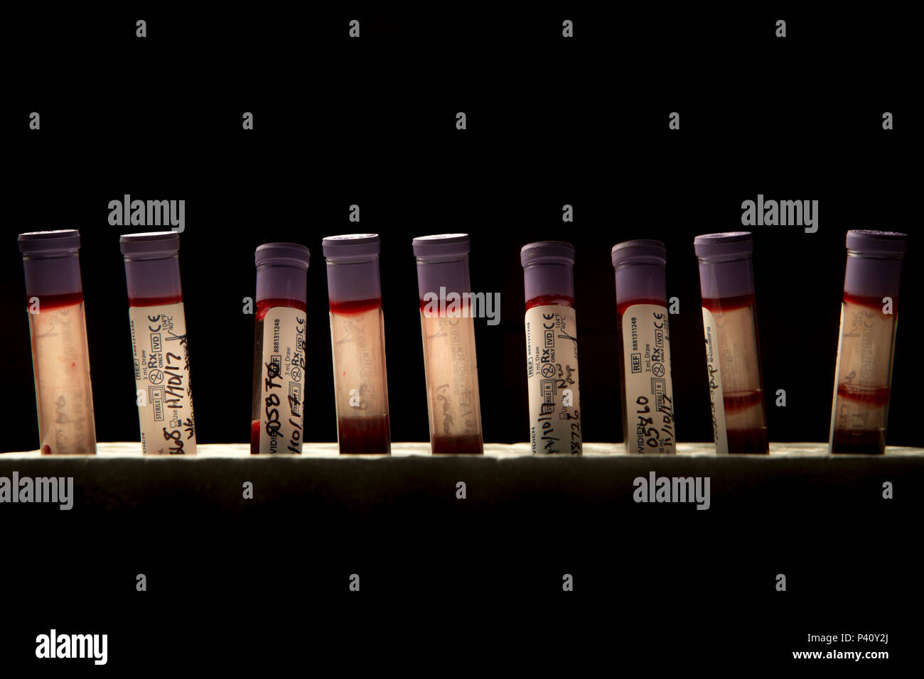 Santa Catalina Island Fox (Urocyon littoralis catalinae) blood samples ...