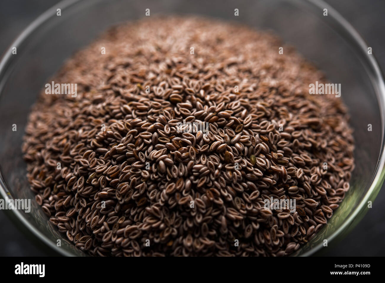 Psyllium husk or isabgol which is fiber derived from the seeds of ...