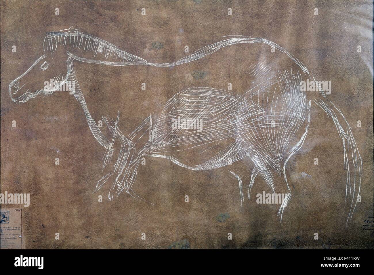 PINTURA RUPESTRE DEL CASTRO DE COAÑA- CABALLO. Location: MUSEO ...