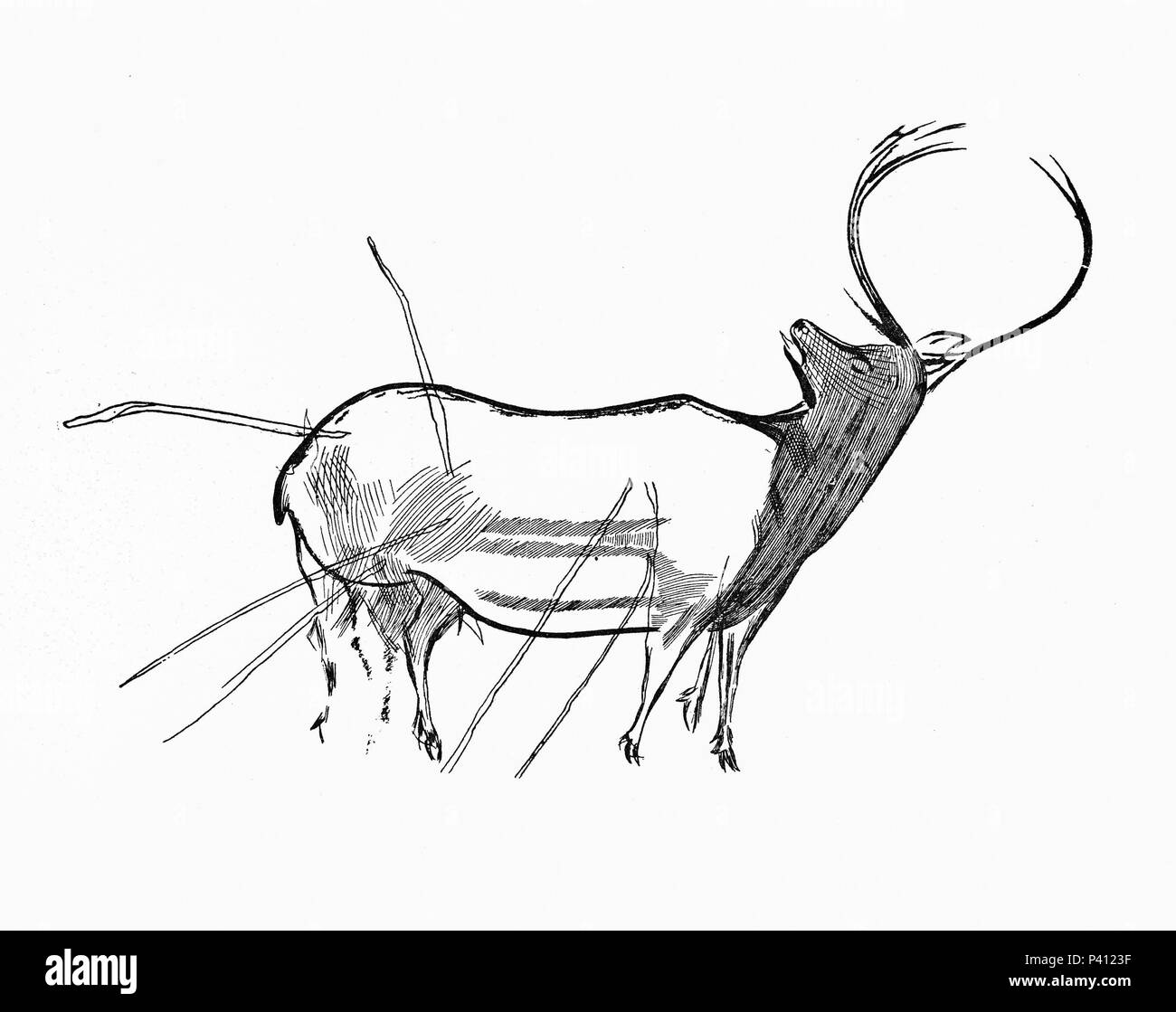 PINTURAS RUPESTRES CUEVA SAN ROMAN EN CADAMO (ASTURIAS) PALEOLITICO ...