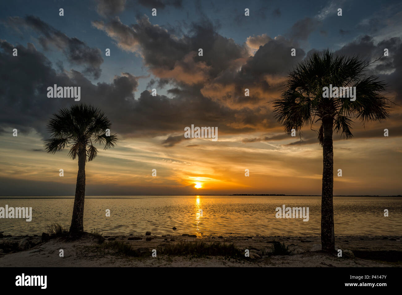 Gulf of mexico sunset hi-res stock photography and images - Alamy