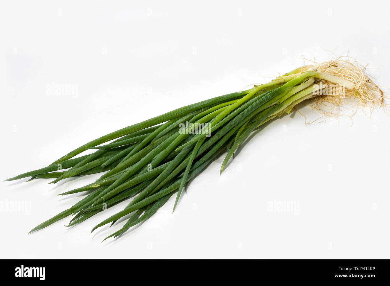 Cebolinha Tempero verde Tempero Fresco Folha Verde maço de cebolinha ...