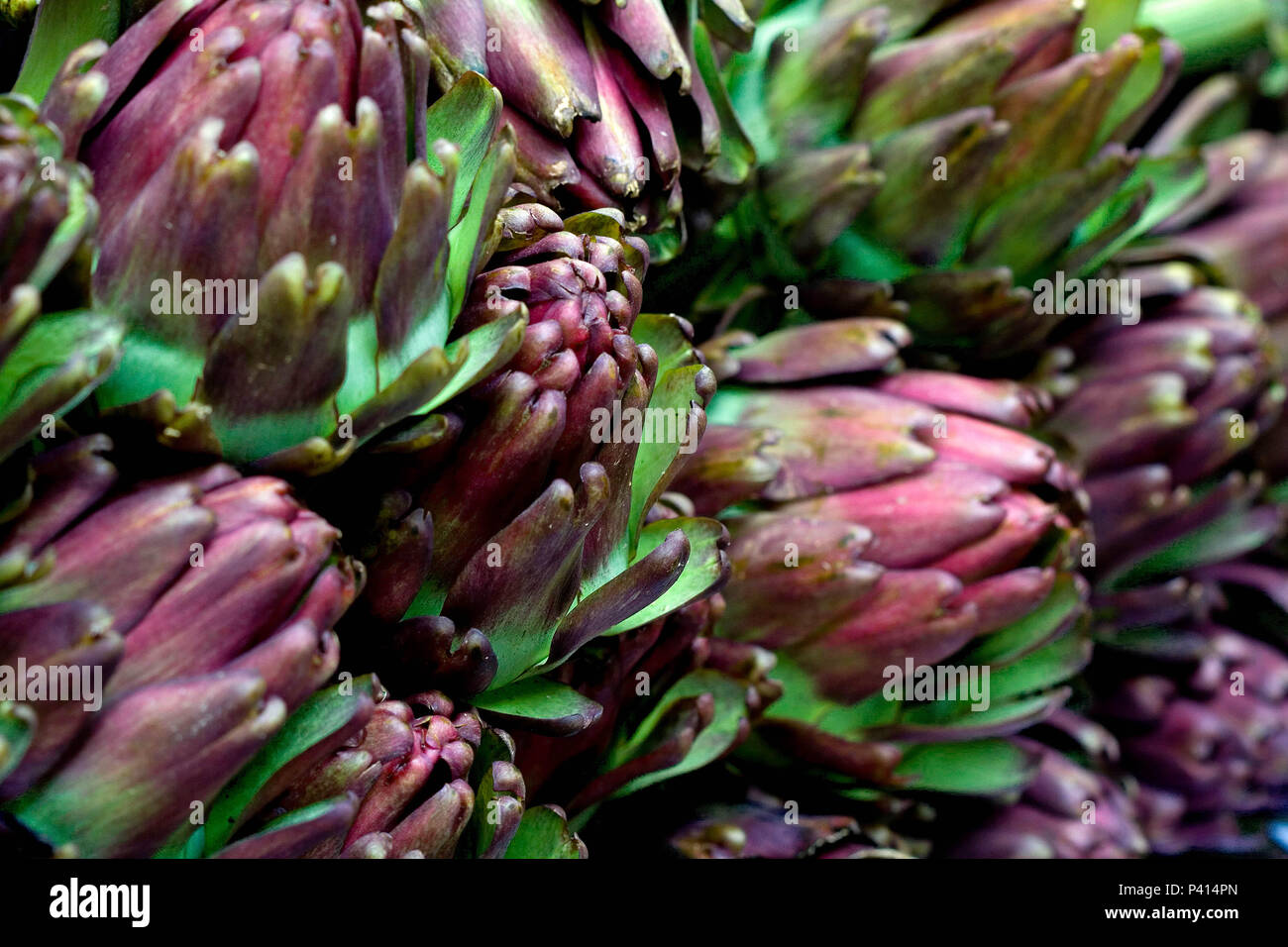 Alcachofras hi-res stock photography and images - Alamy