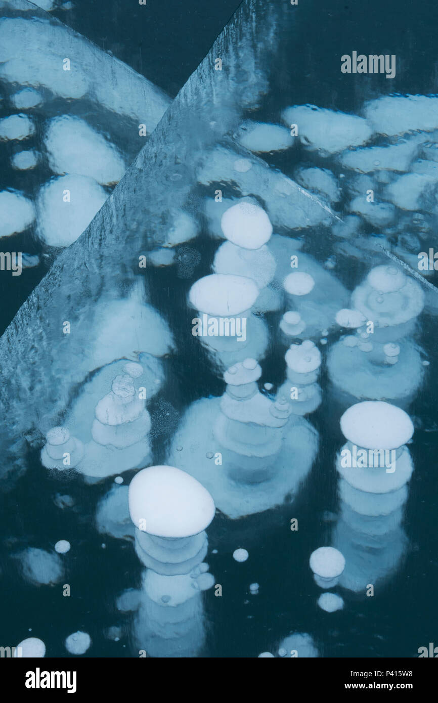 Frozen methane bubbles in winter, Abraham Lake, Canadian Rocky ...