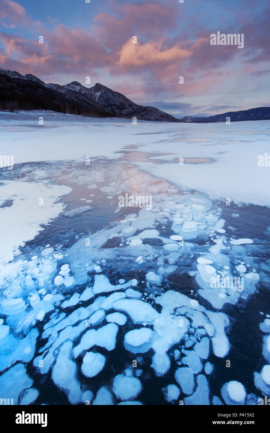 Frozen methane bubbles in winter, Abraham Lake, Canadian Rocky ...