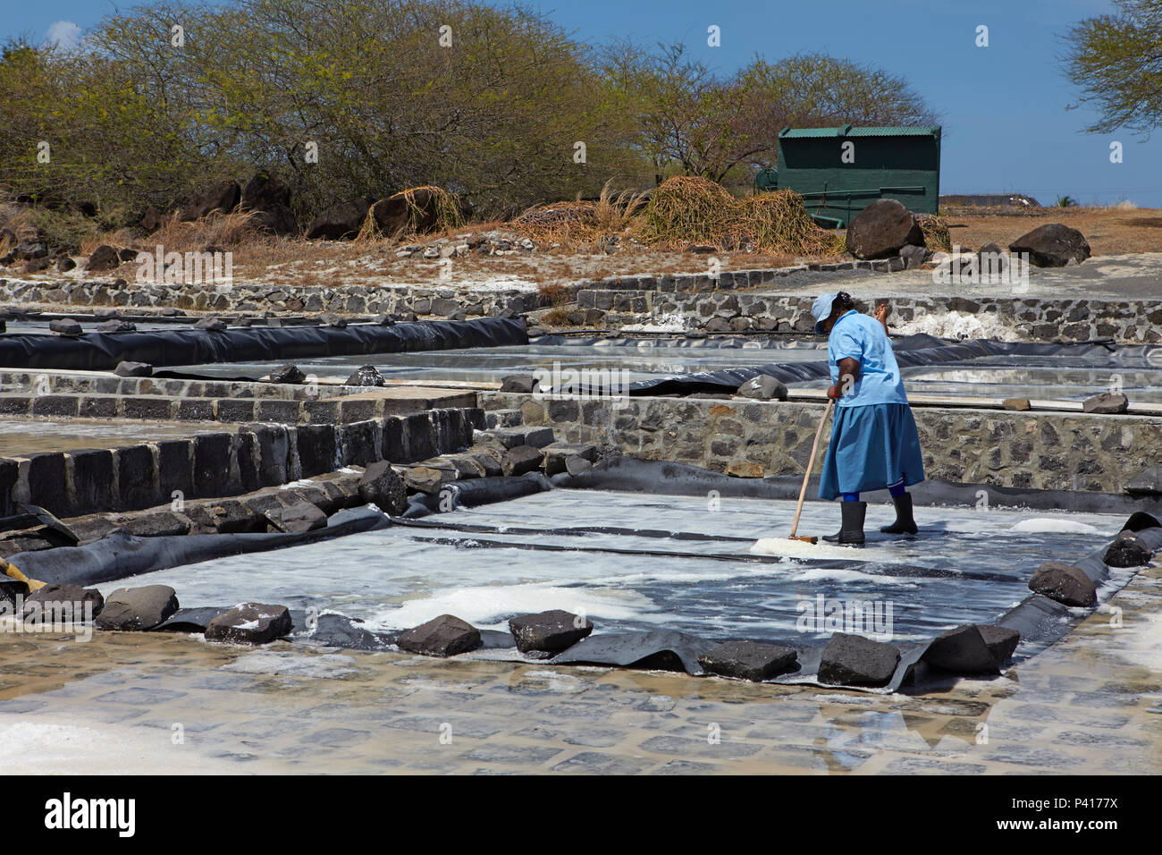 Salt fields in Tamarin, Mauritius Stock Photo - Alamy