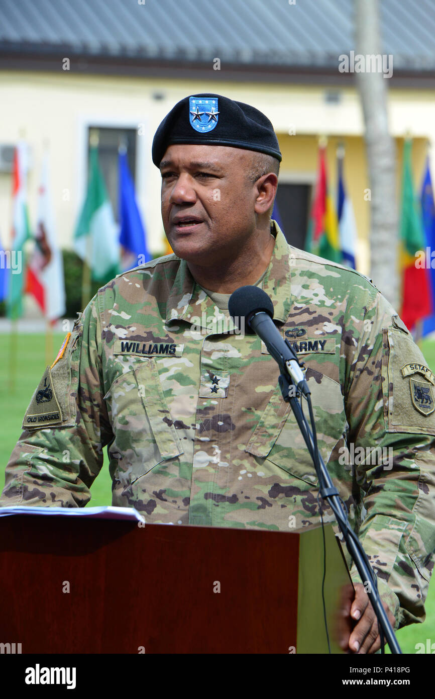 Maj. Gen. Darryl A. Williams, outgoing commander of U.S. Army Africa ...