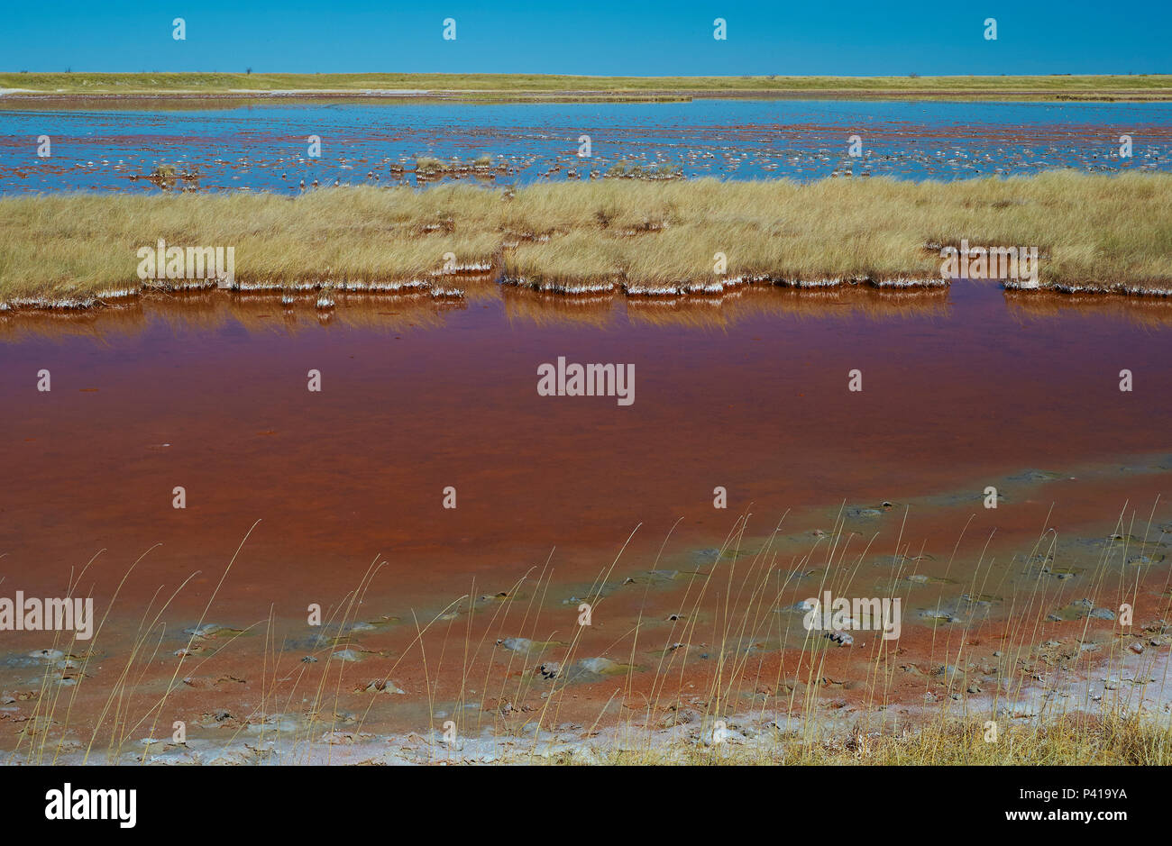 Salt pans with water, Makgadikgadi Pan, Botswana Stock Photo - Alamy