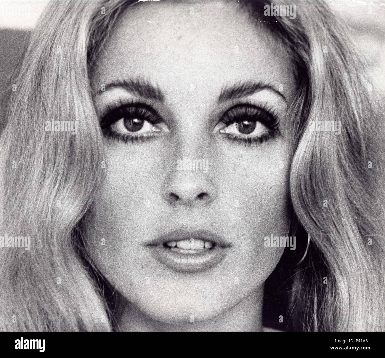 Sharon Tate's Instagram, Twitter & Facebook on IDCrawl