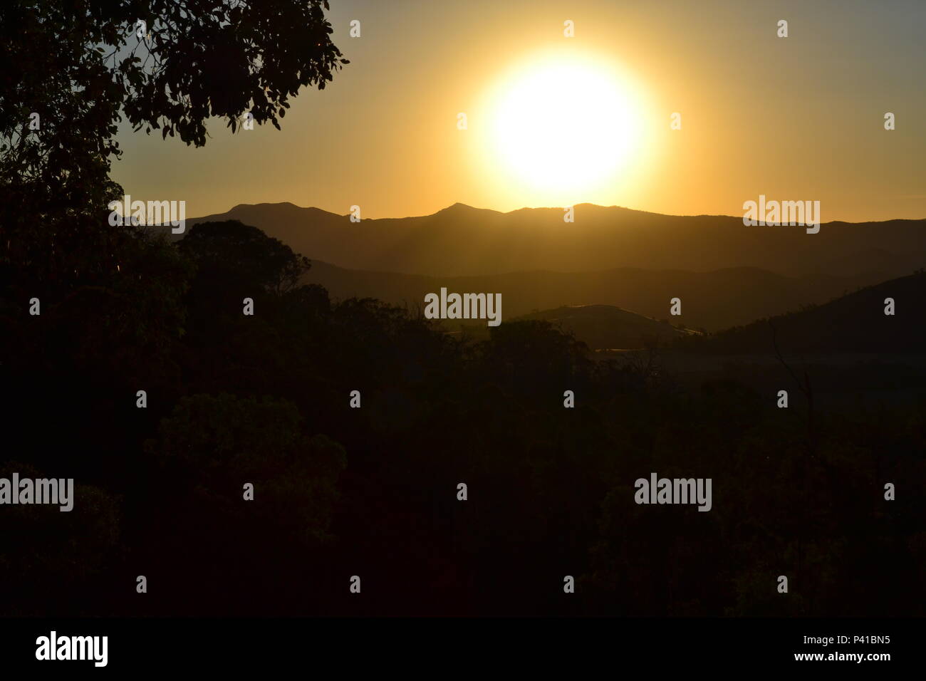 Gumtree shadow hi-res stock photography and images - Alamy