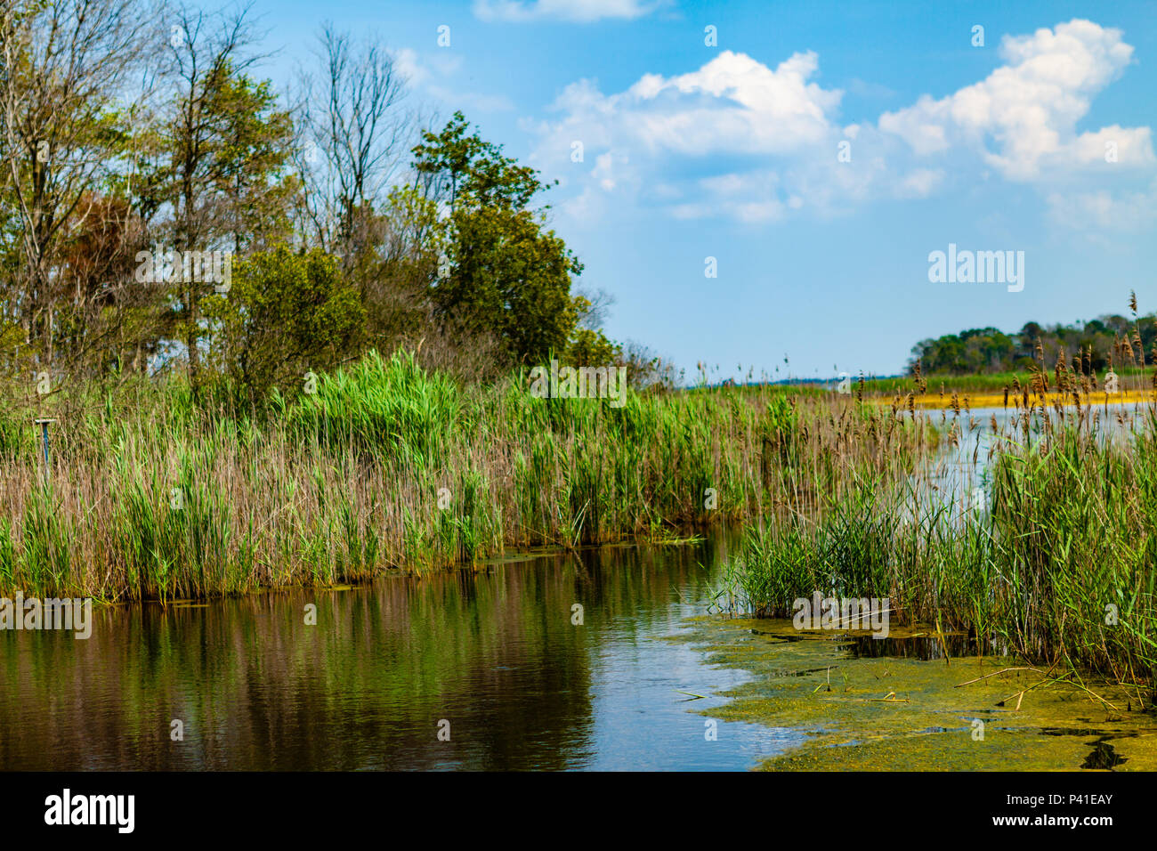 Delware landscape hi-res stock photography and images - Alamy