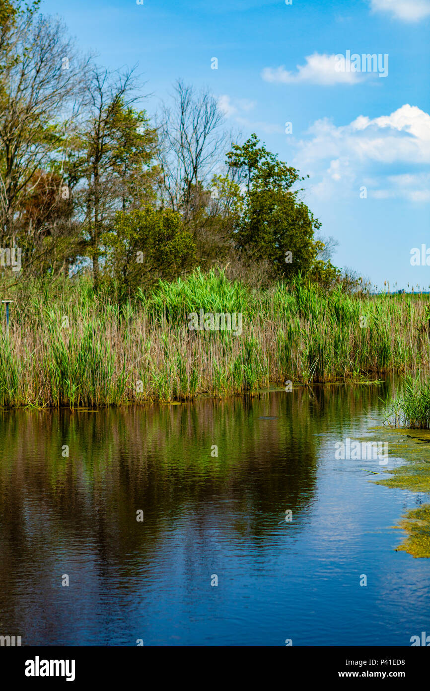 A small waterway area in rural Delware Stock Photo - Alamy