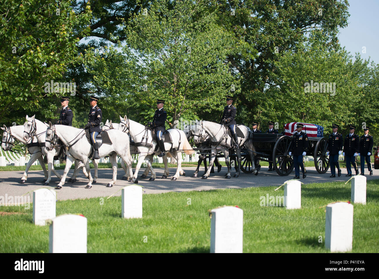 Members of the Caisson Platoon, 3d U.S. Infantry Regiment (The Old ...