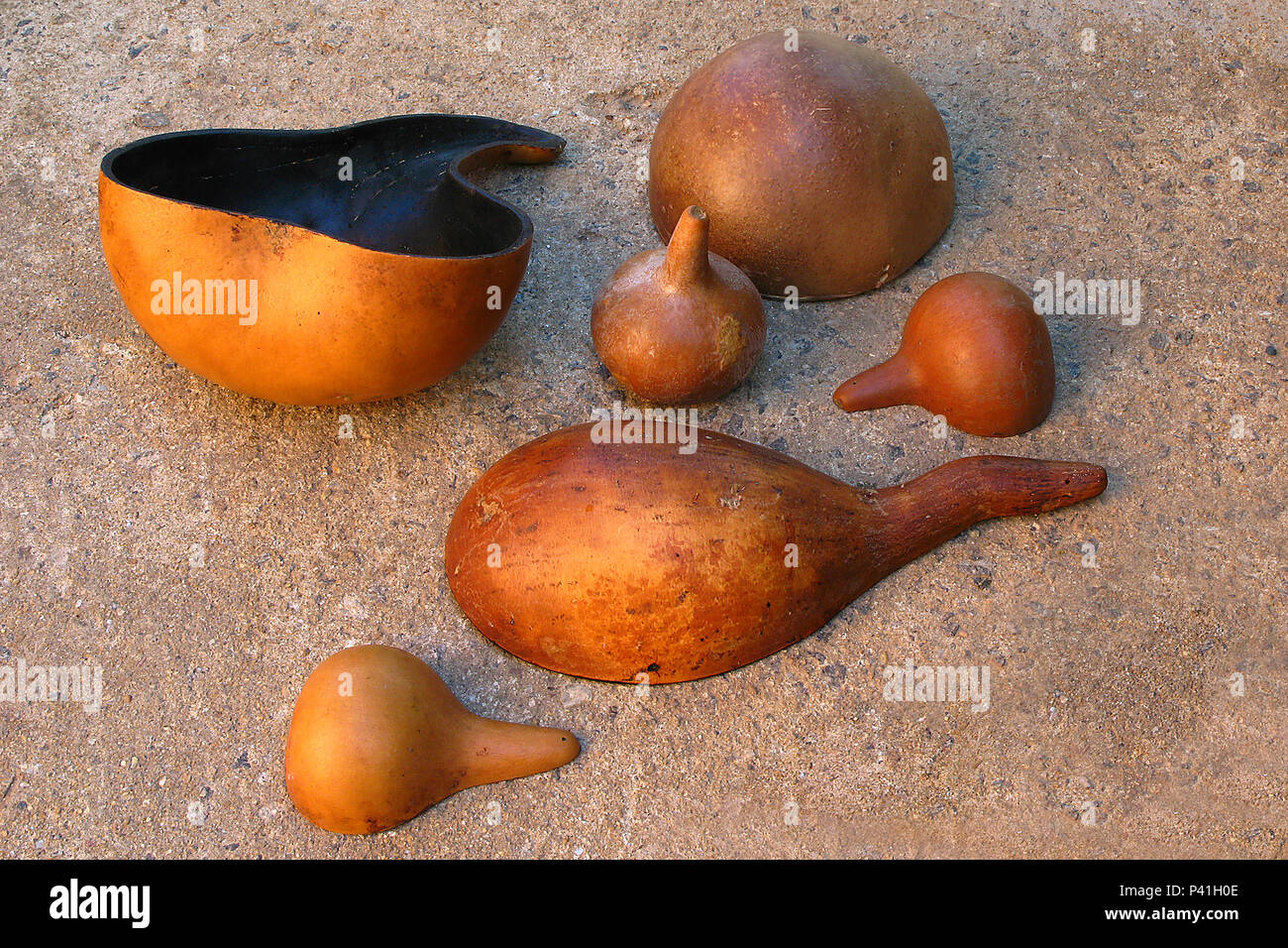 Cabaças Lagenaria siceraria porongo purunga purungo porongueiro ...