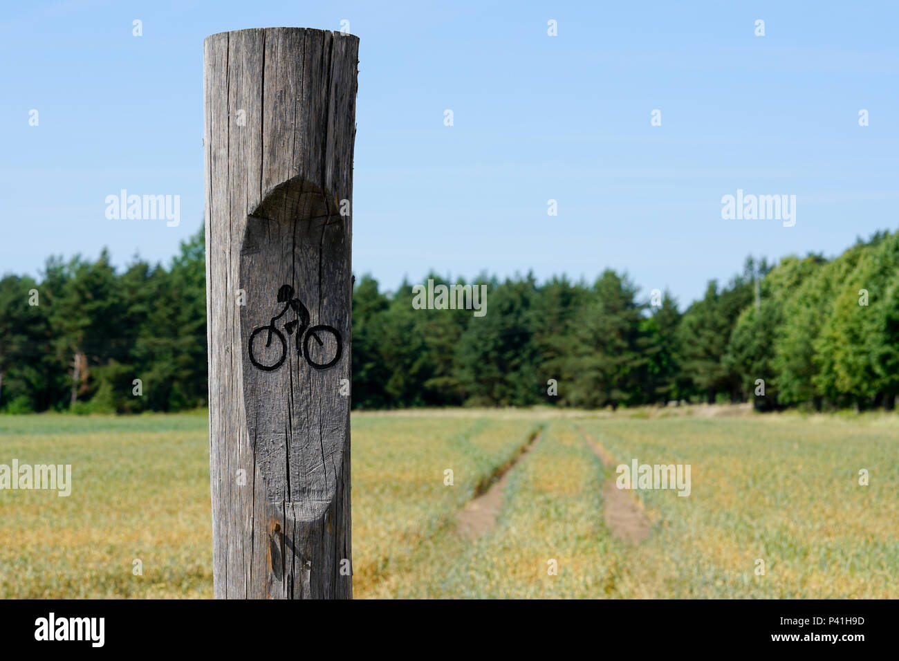 original bicycle path sign from wood material Stock Photo - Alamy