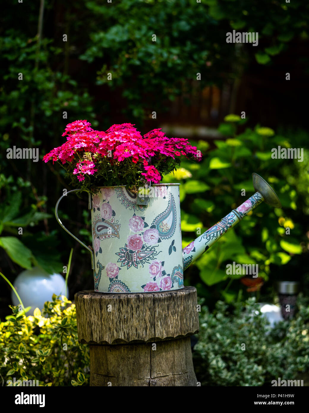 Beautiful collection of flower Stock Photo - Alamy