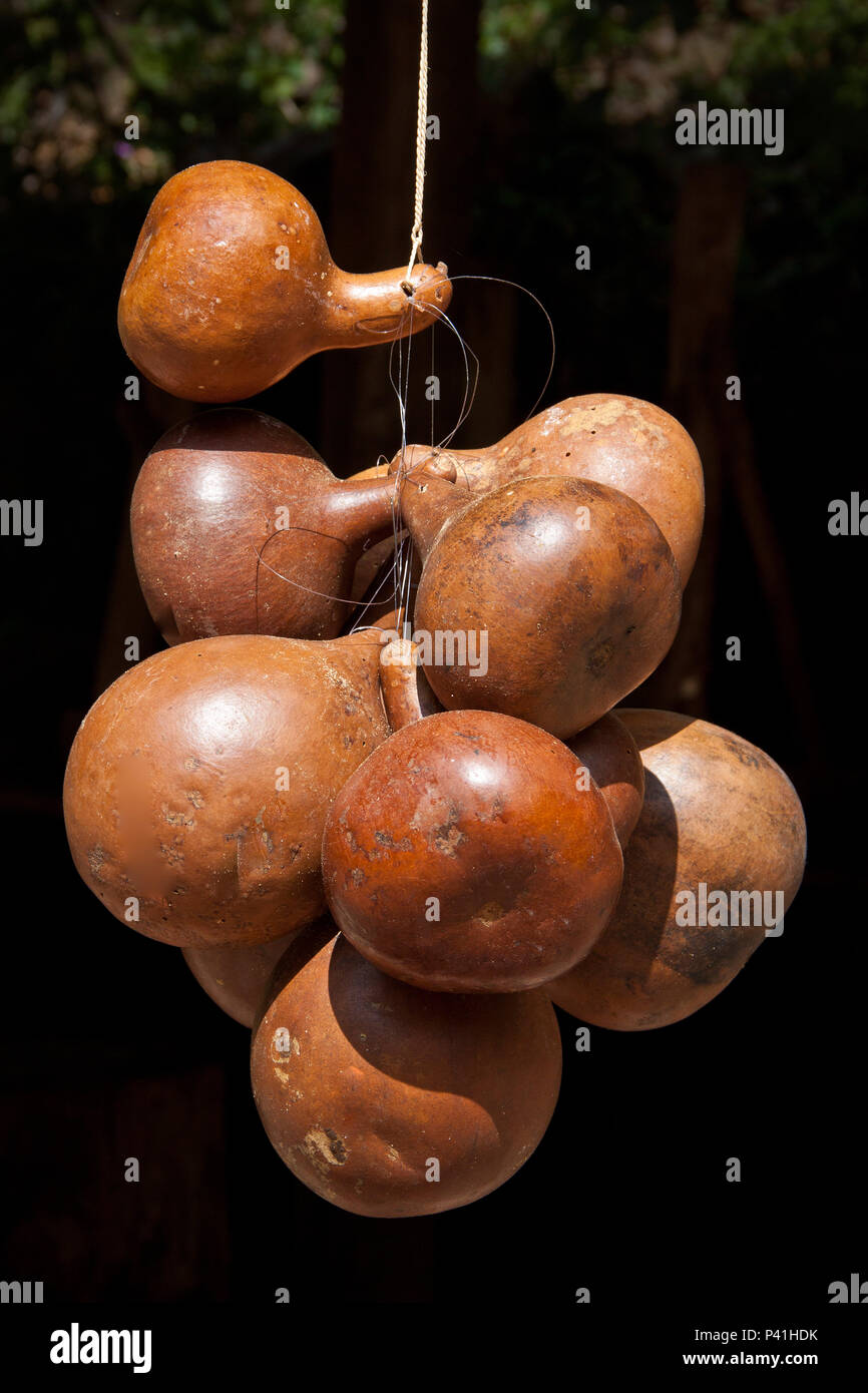 Cabacas pequenas hi-res stock photography and images - Alamy