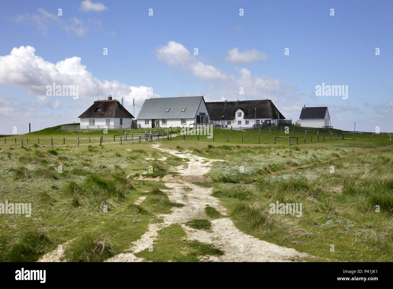 Hamburger Hallig, Germany, Hamburger Hallig in Nordfriesland Stock ...