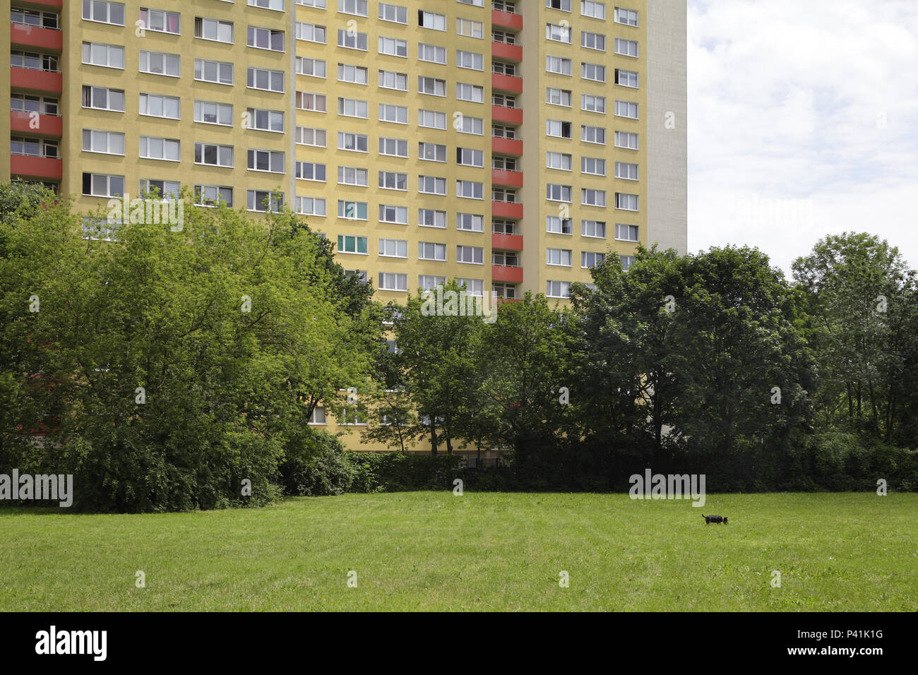 Berlin, Germany, Renovated prefabricated building in the Landsberger ...