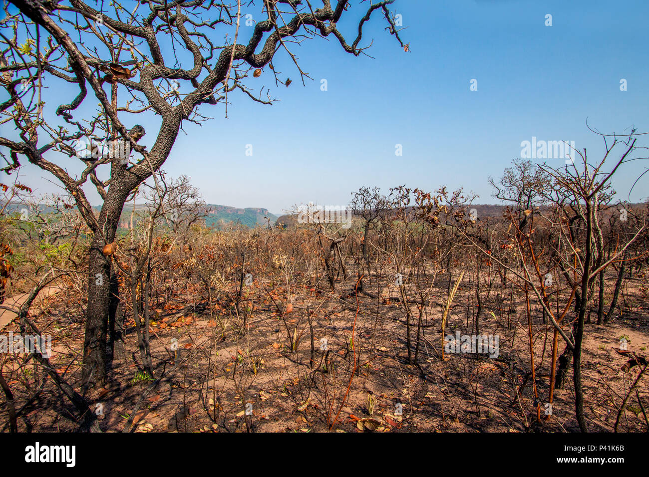 Queimada No Cerrado High Resolution Stock Photography and Images - Alamy