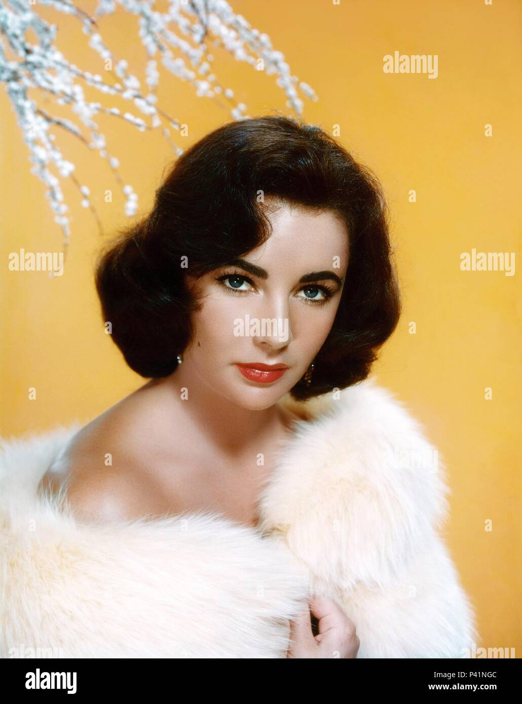 Original Film Title: ELEPHANT WALK. English Title: ELEPHANT WALK. Film ...