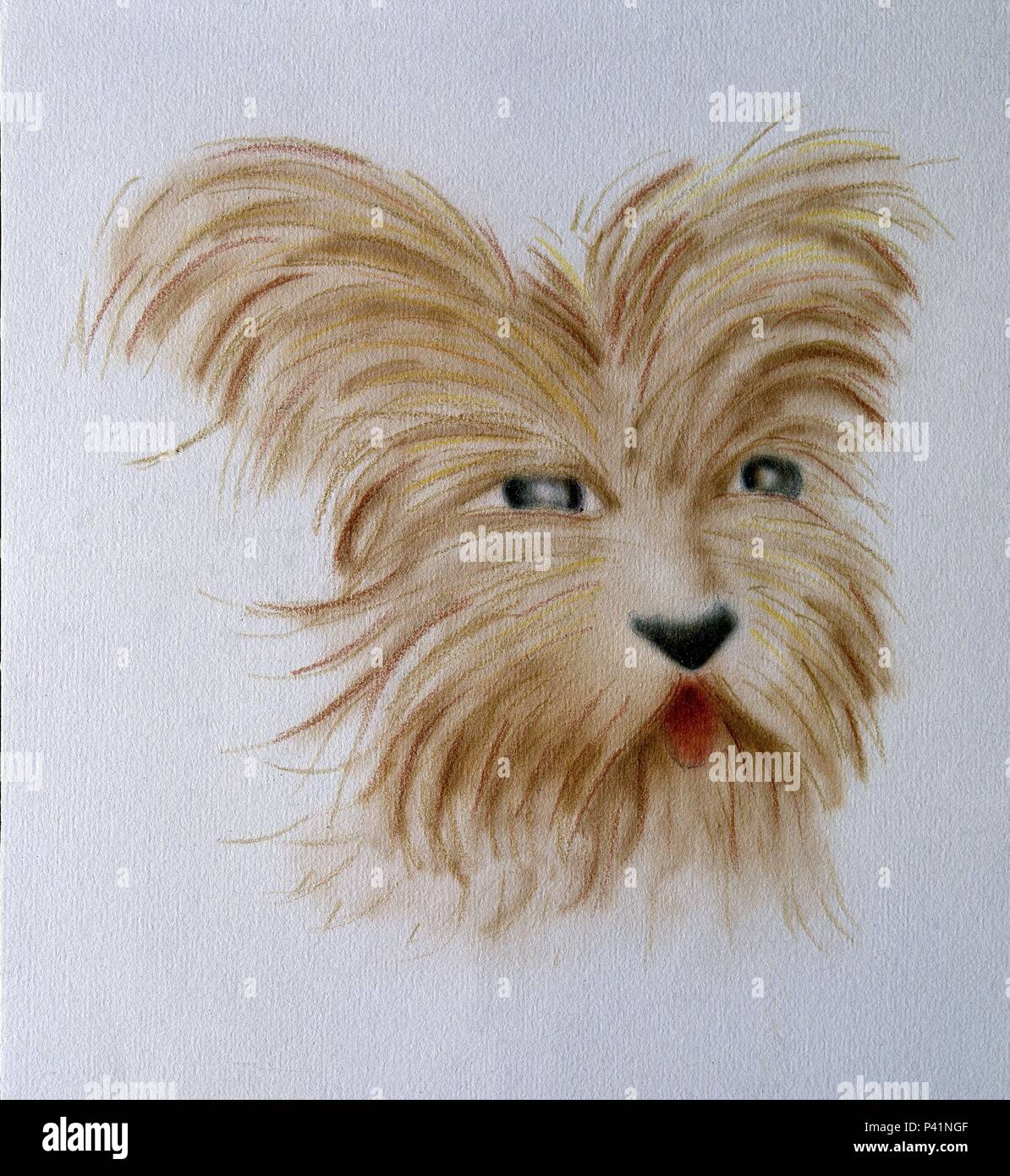 Dibujo perro hi-res stock photography and images - Alamy