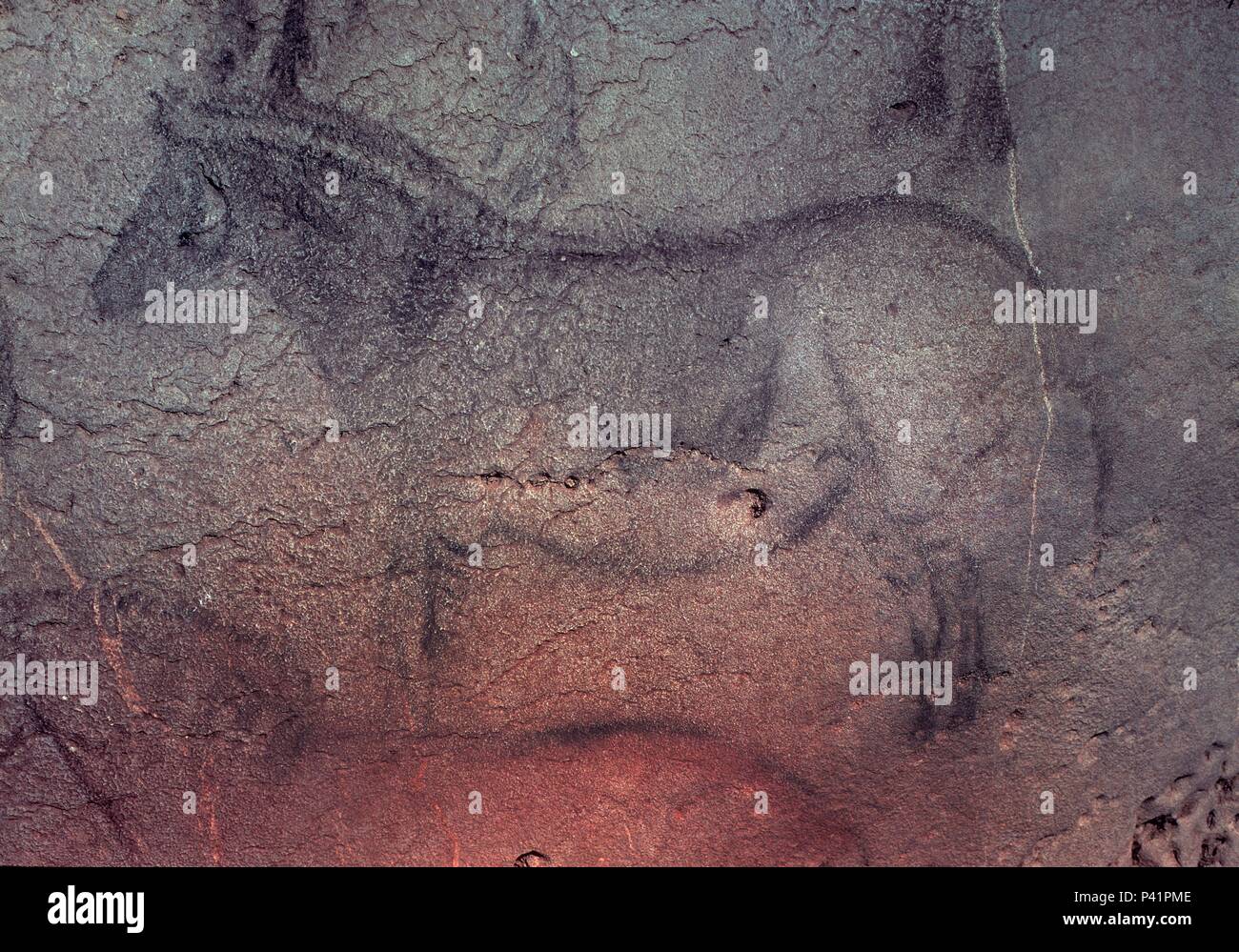 CABALLO DEL GRAN PANEL-PINTURA RUPESTRE. Location: CUEVA DE EKAIN, DEBA ...