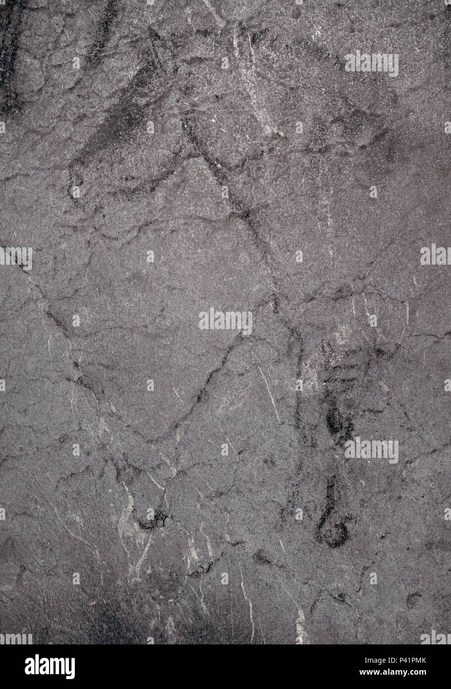 CABALLO - PINTURA RUPESTRE DE LA CUEVA DE EKAIN. Location: CUEVA DE ...