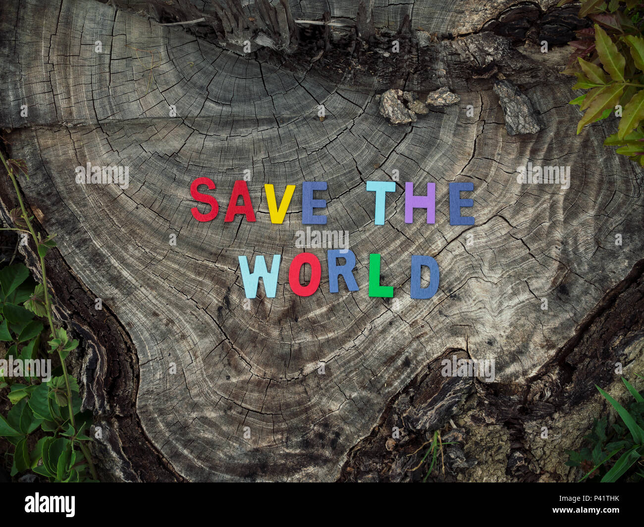 “Save The Word” Text on Stump. Save Earth and Environment, Ecology ...