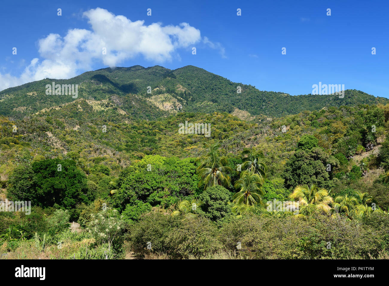 Trail for the highest peak of Cuba - Pico Turquino in the mountains ...
